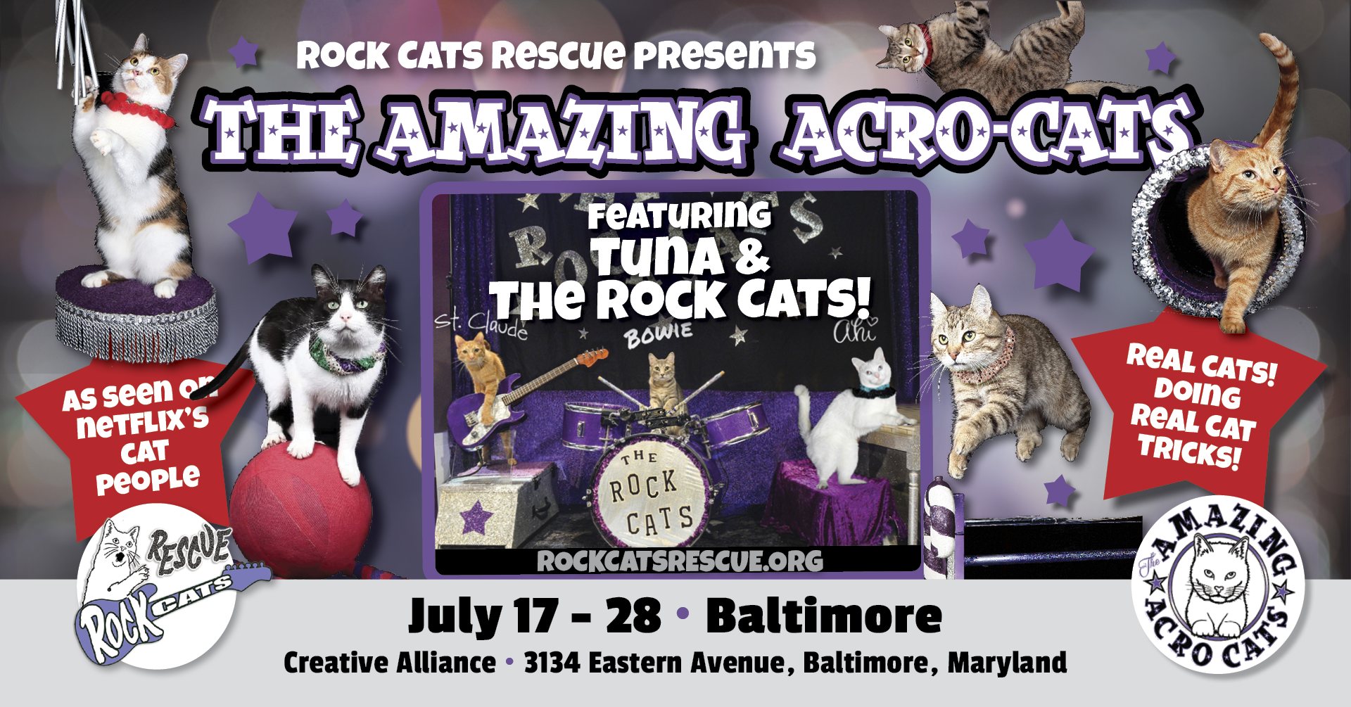 Tour Schedule — Rock Cats Rescue Inc