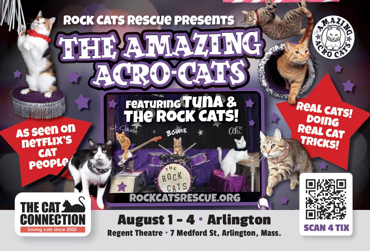 Tour Schedule — Rock Cats Rescue Inc