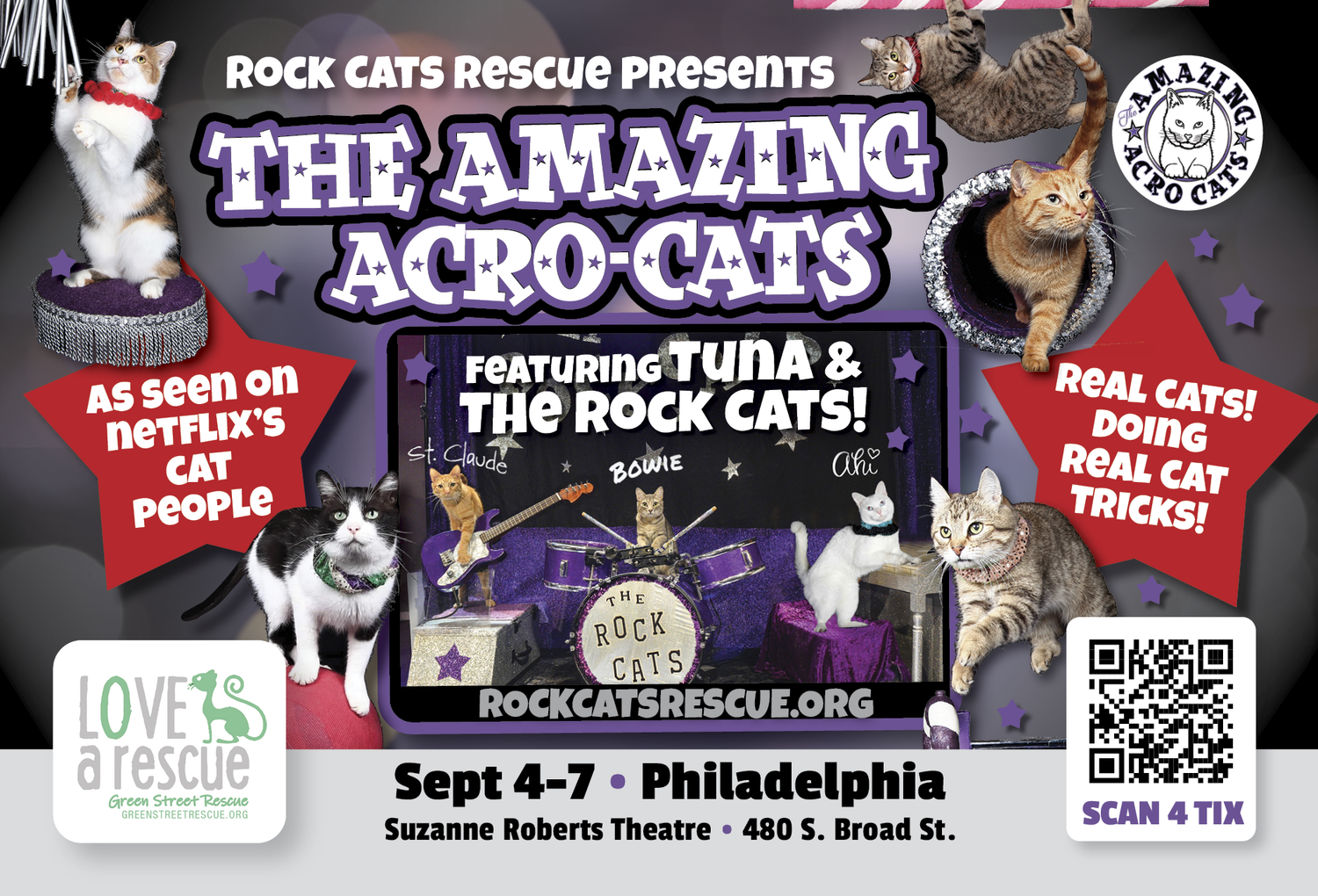 Tour Schedule — Rock Cats Rescue Inc