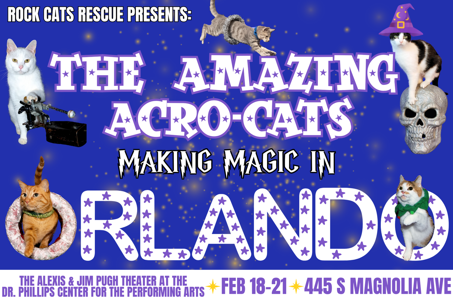 Tour Schedule — Rock Cats Rescue Inc
