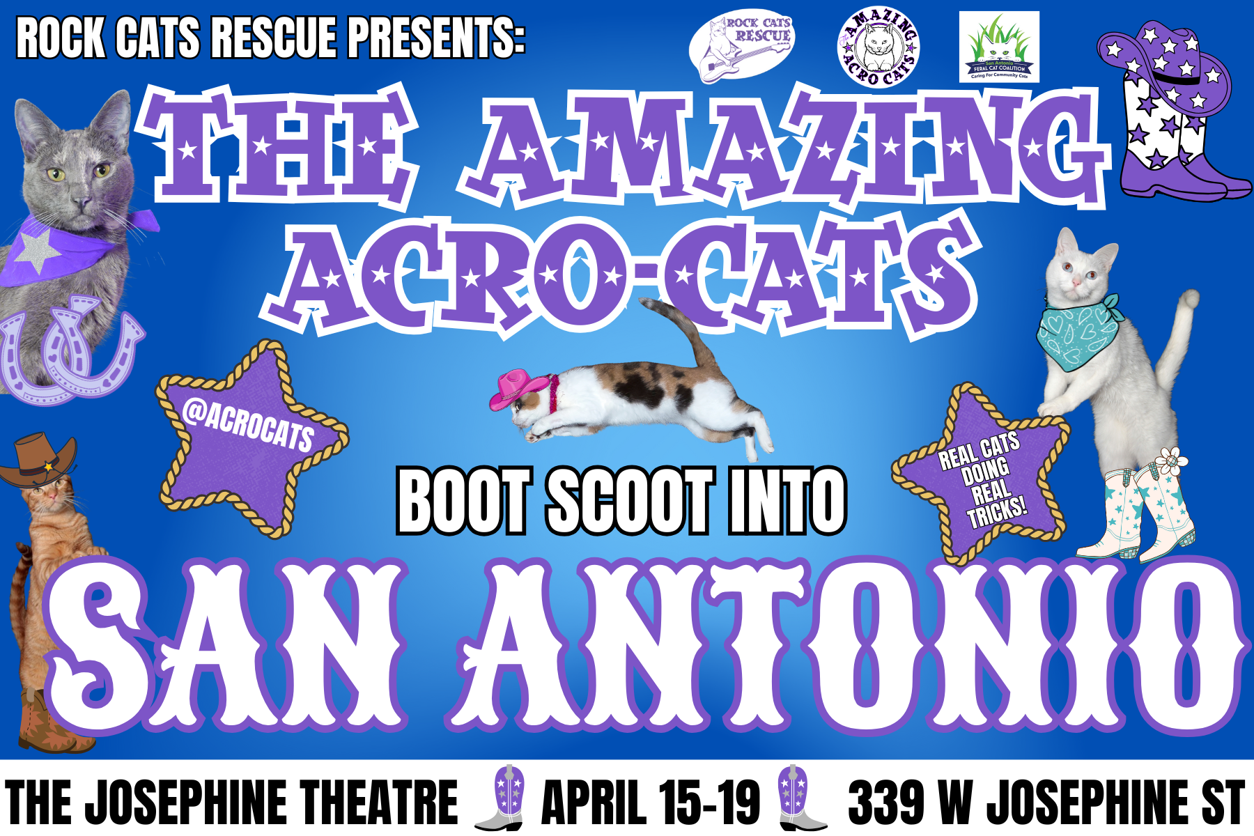 Tour Schedule — Rock Cats Rescue Inc