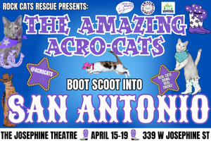 Tour Schedule — Rock Cats Rescue Inc