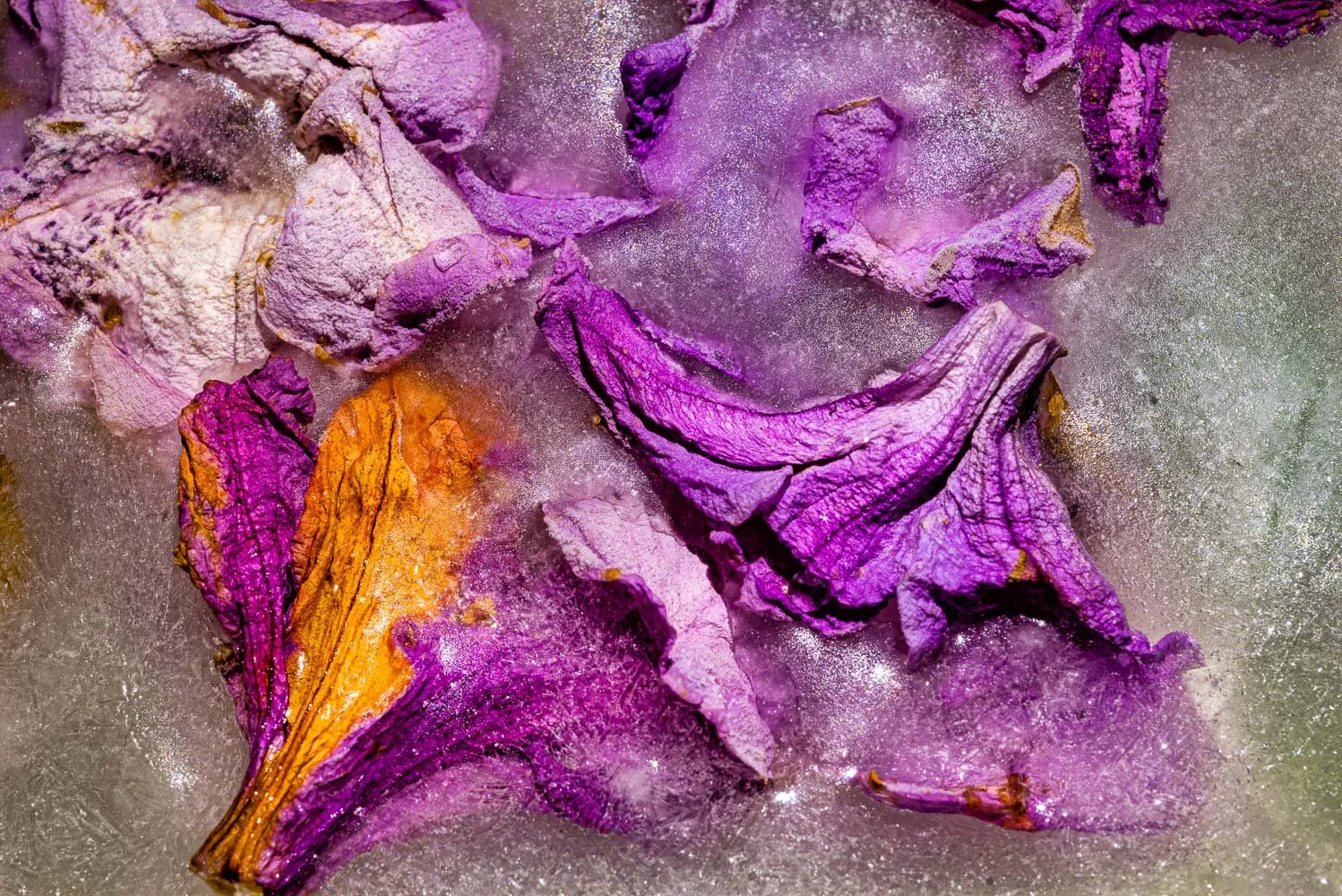 Impermanence — Alan Sanders | Photographer