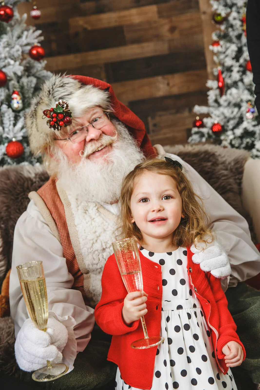 Santa Photos Seattle | Classic Santa Portraits | SATYA PHOTOGRAPHY