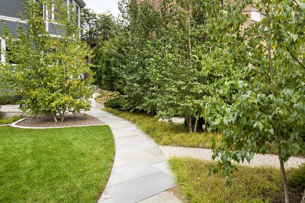 Growing Family Landscape - Chicago Home Landscape Design — Christy ...
