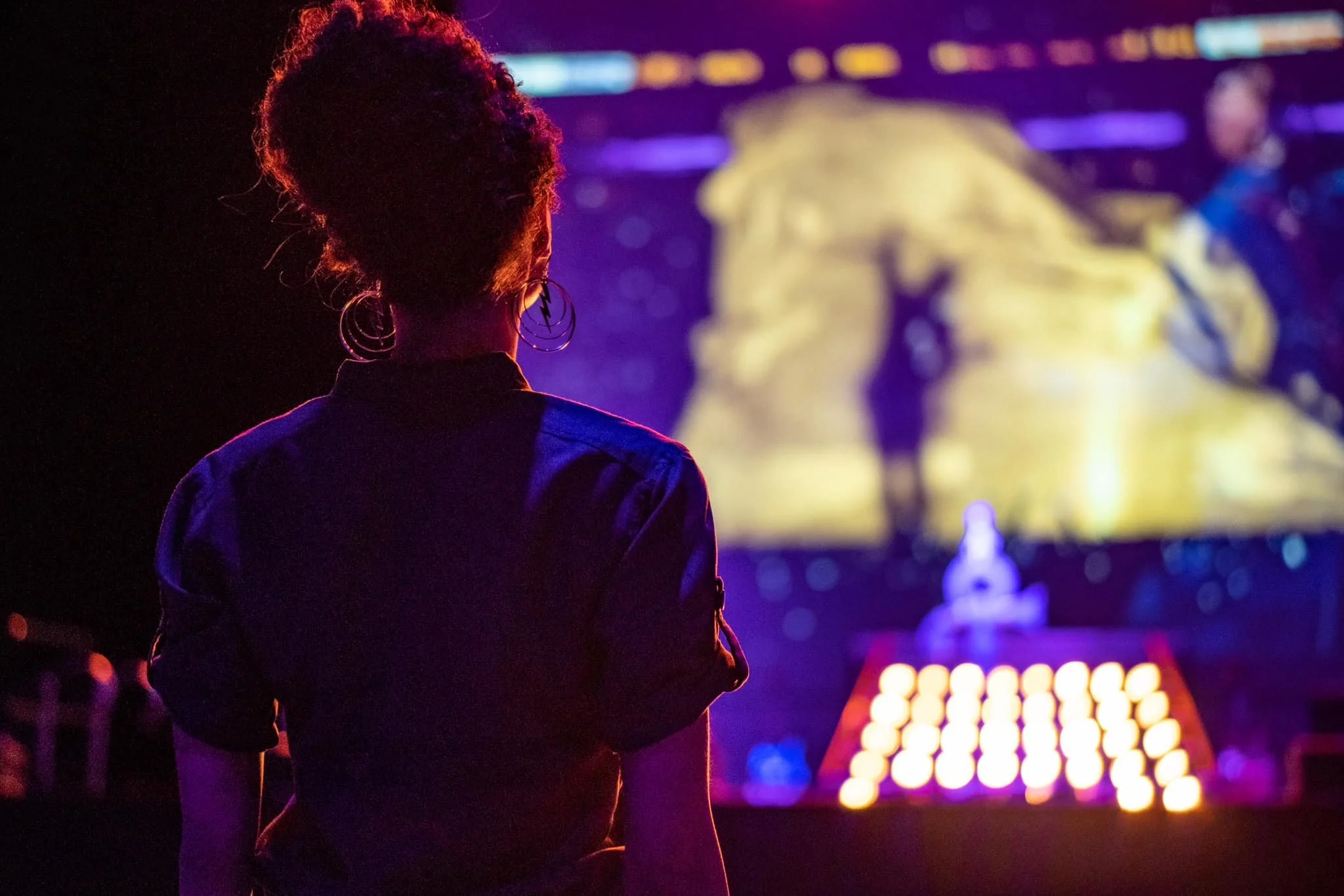 Tickets | Paisley Park Paisley Park | Prince's Home and Studio