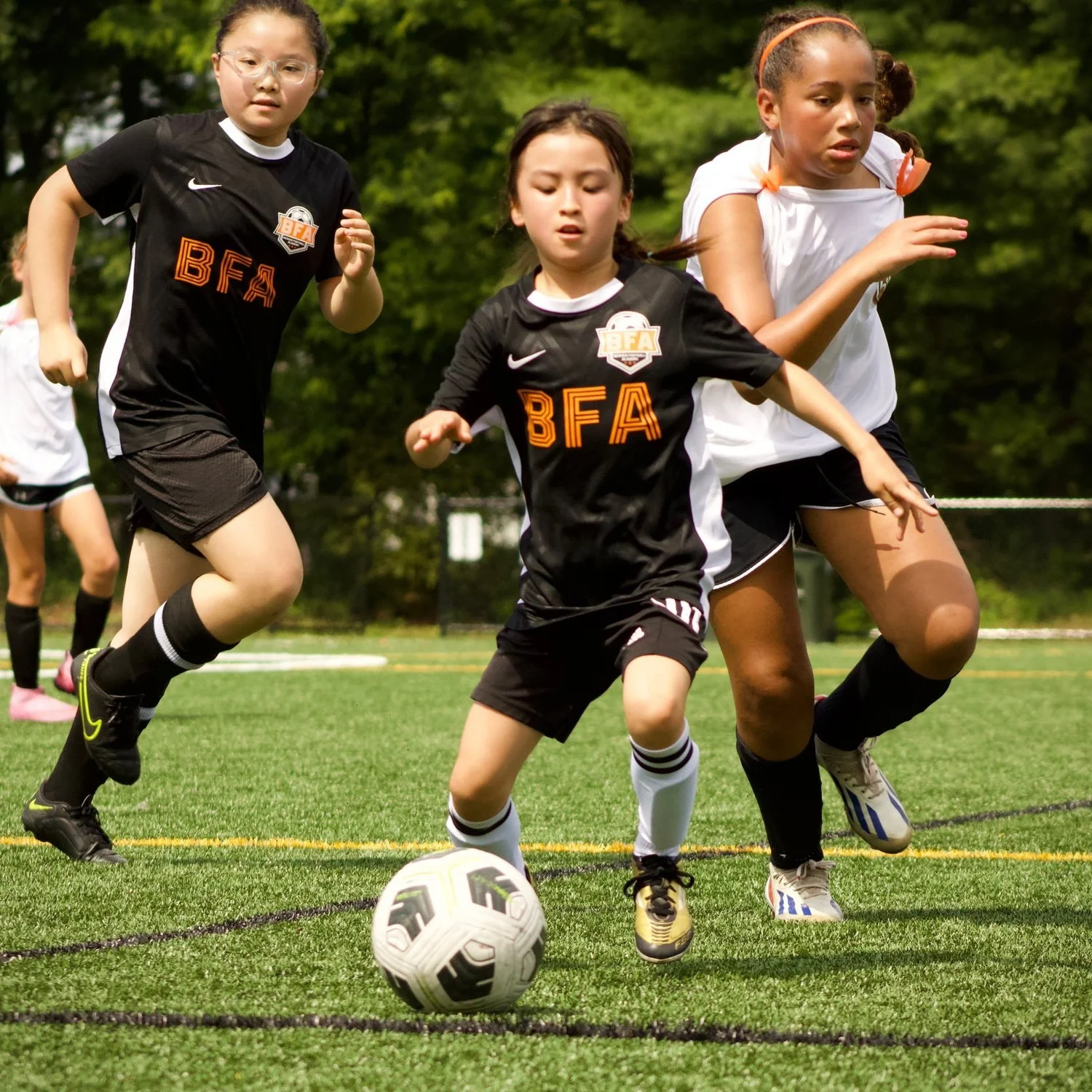 FLSC & BFA
