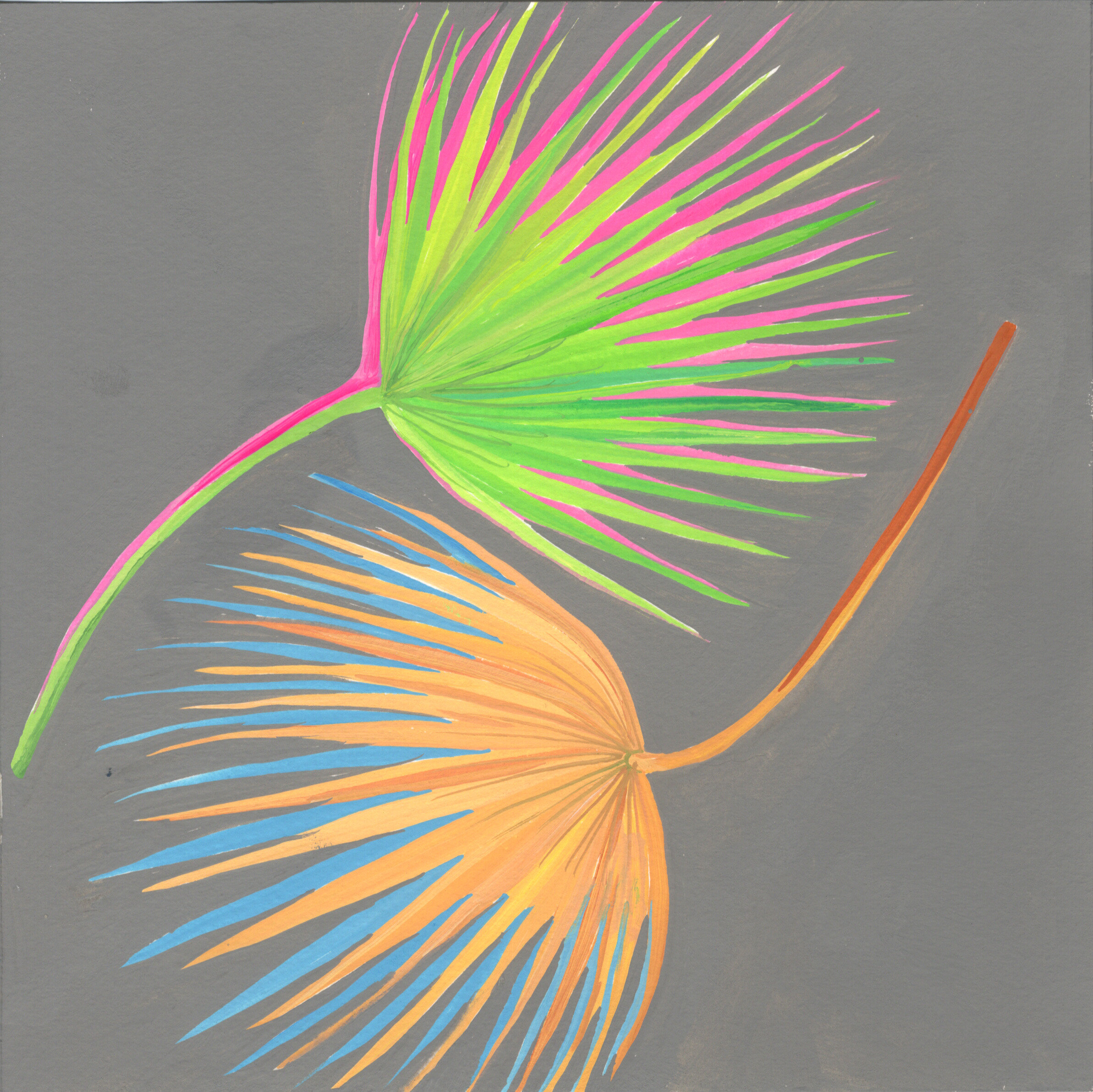 Palm (drawings) — Amelia Carley's Studio