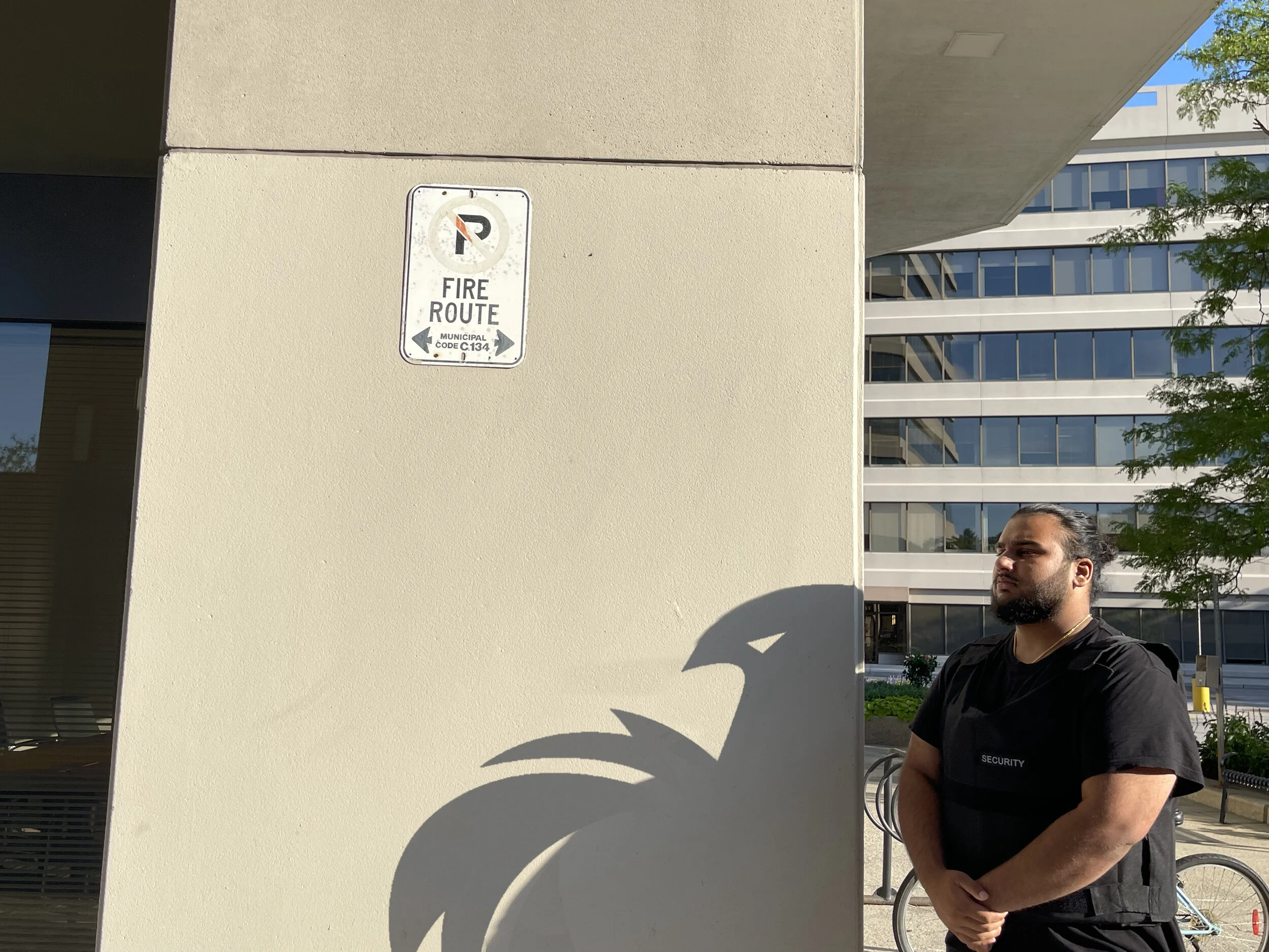 Phoenix Protection Inc. — Services