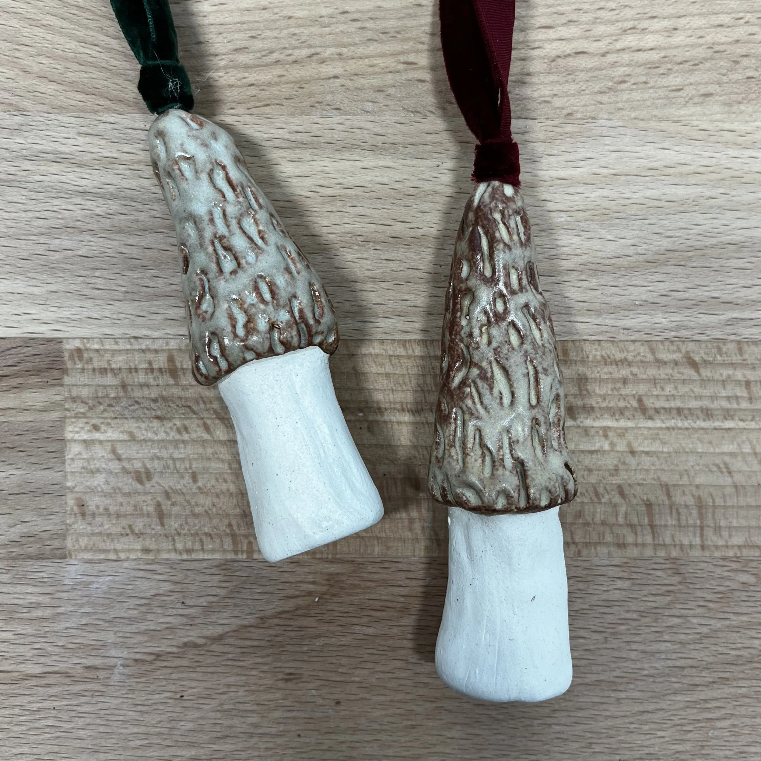 Midwestern Jungle Store! — The Midwestern Jungle.