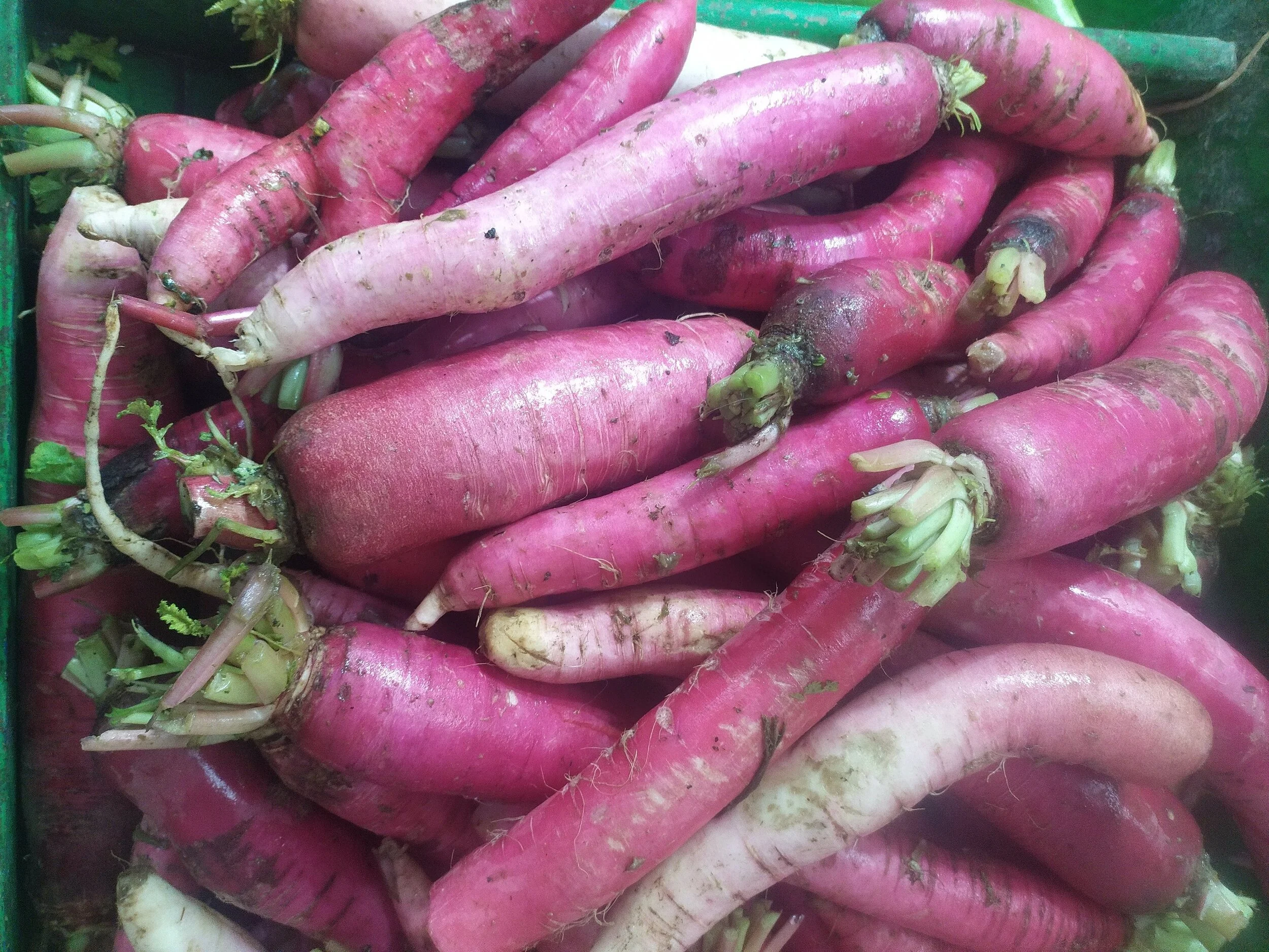 Indian Cuisines that Have Weathered Climatic Extremities — Whetstone ...