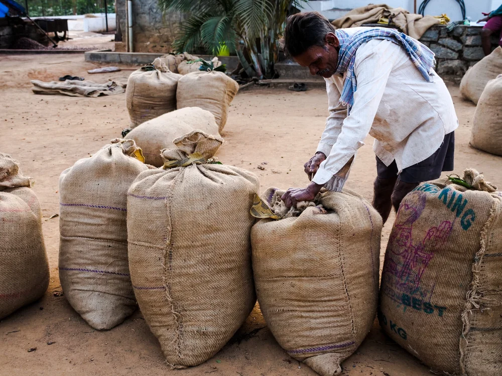 Making Coffee in Coorg — Whetstone Magazine