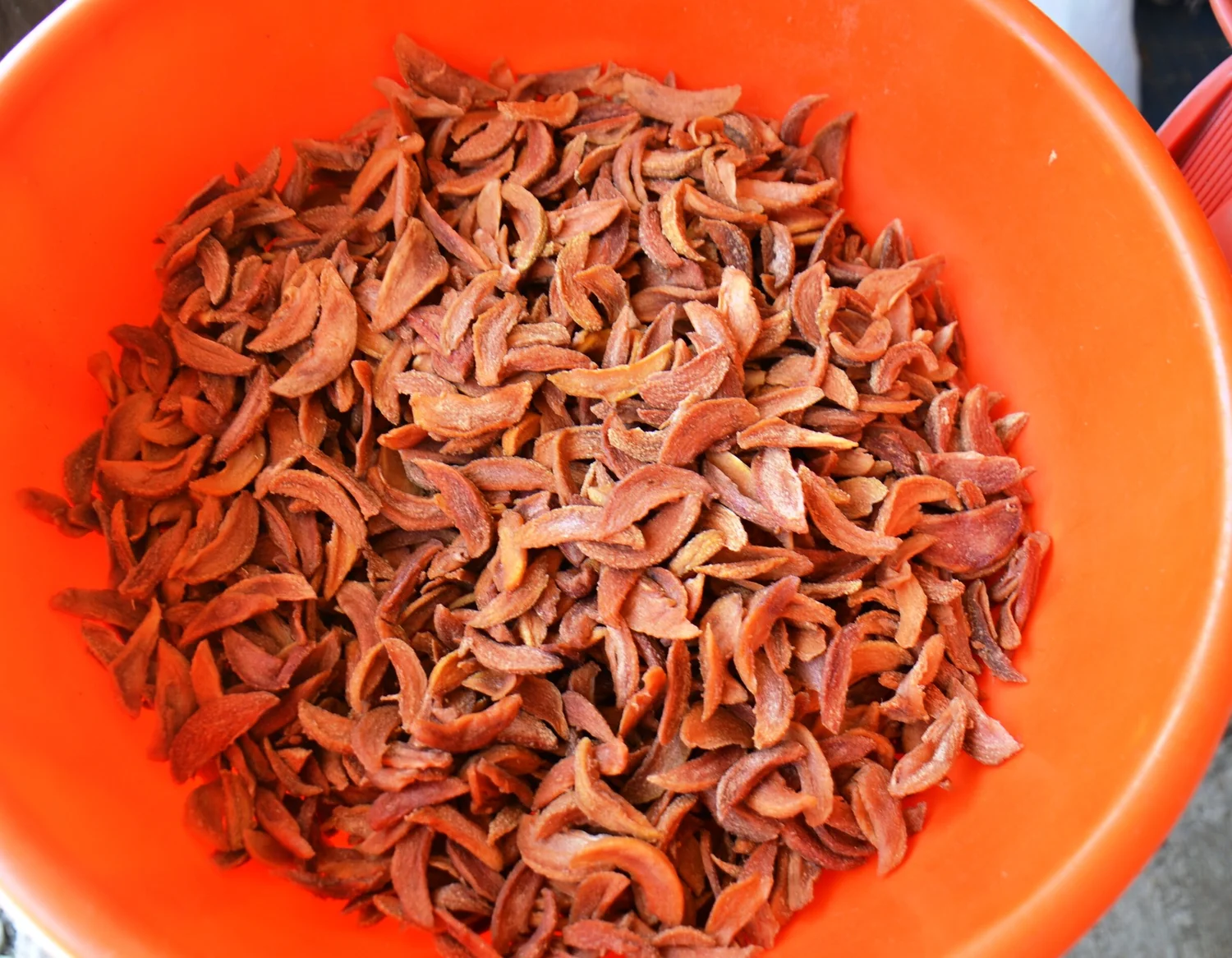 In India, the Chikoo Fruit Spreads its Sweet Legacy — Whetstone Magazine