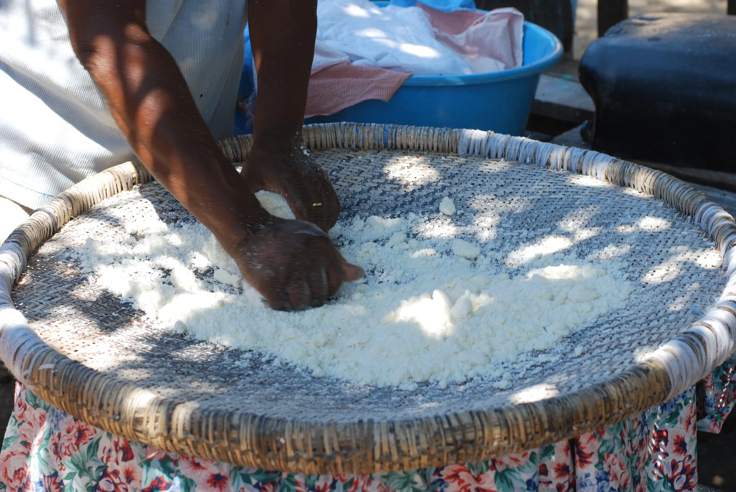 Making Cassava Bread from Scratch in Southern Belize — Whetstone Magazine