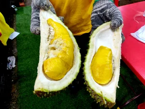 The Lore and Legend of Durian — Whetstone Magazine