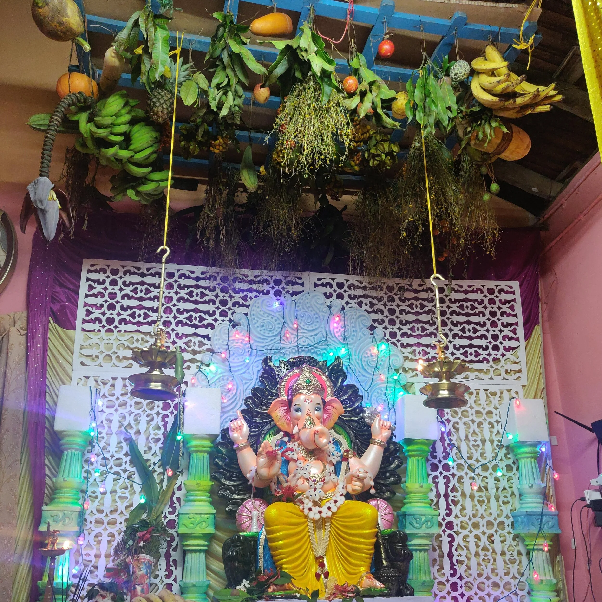 For Good Health, Look No Further Than The Goan Garden — Whetstone Magazine