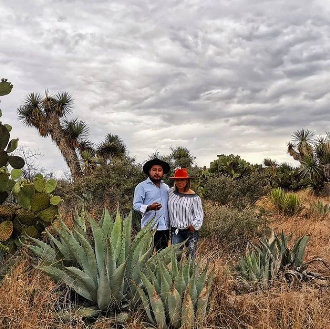 The Nectar Corridor — Whetstone Magazine