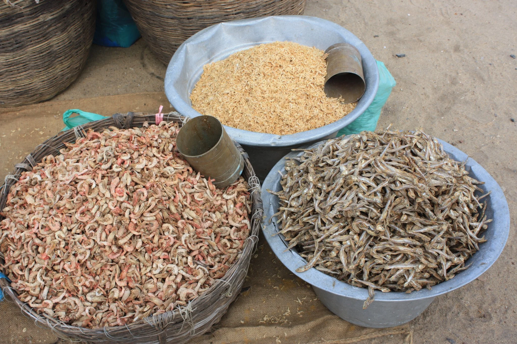 The Enduring Love for Shutki Maach — Whetstone Magazine