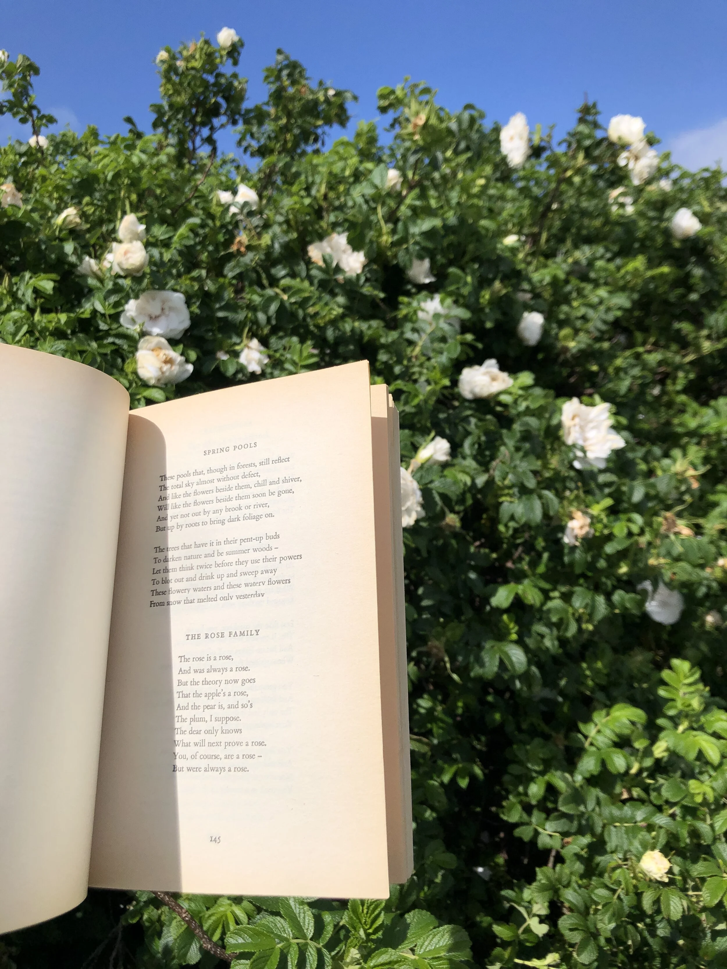 Robert Frost Family Poems