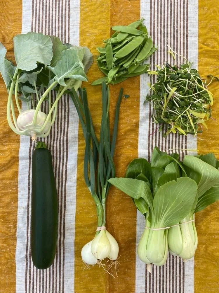 Subscriptions — SUNROOT FARM