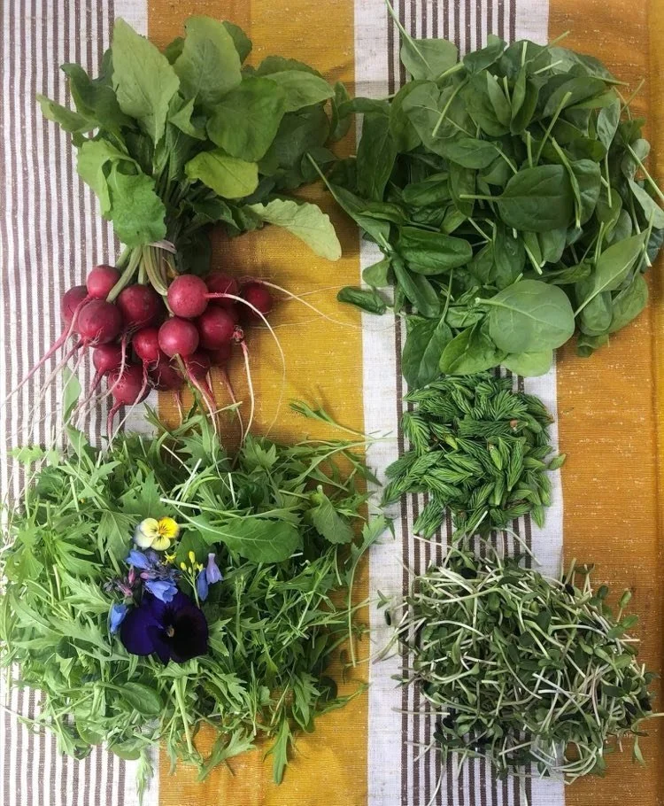 Subscriptions — SUNROOT FARM