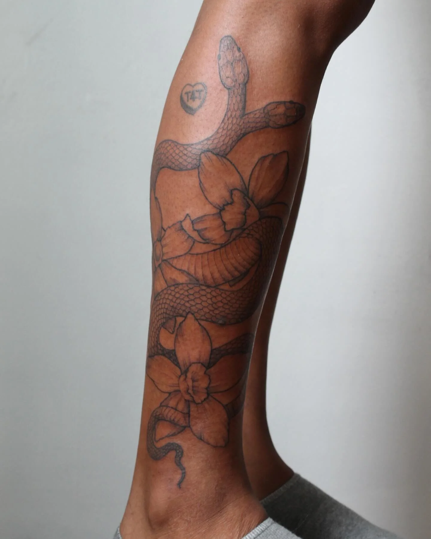 rachel finelli tattoo artist and illustrator — Rachel Finelli