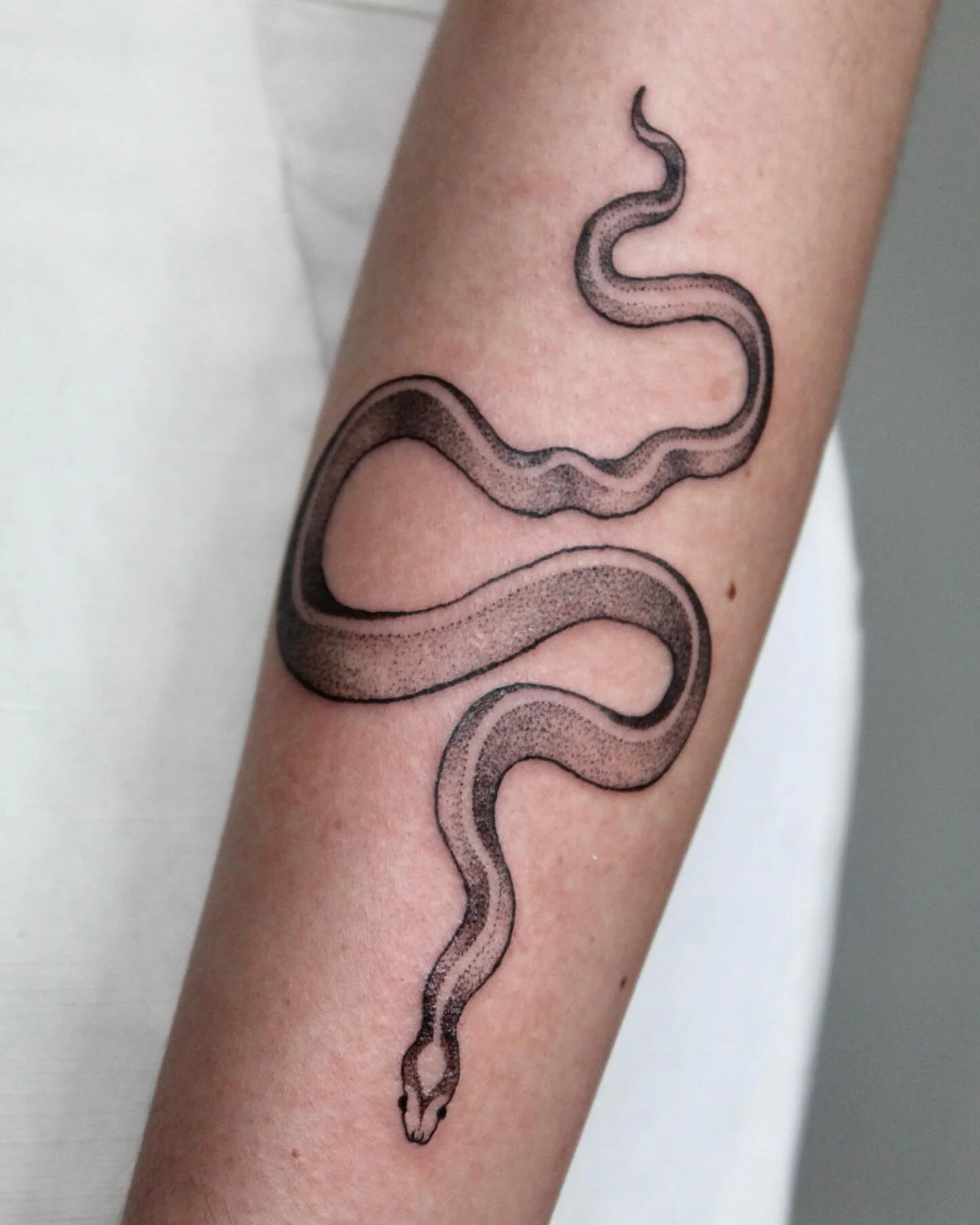 rachel finelli tattoo artist and illustrator — Rachel Finelli