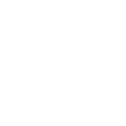 Foursquare Financial Inc.