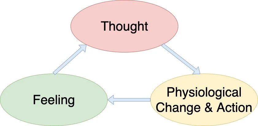 3 Original Theories on How Emotions Work! — The Healing Center