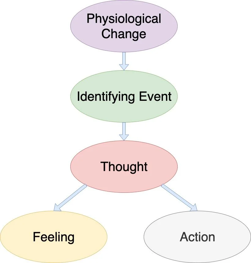 3 Original Theories on How Emotions Work! — The Healing Center