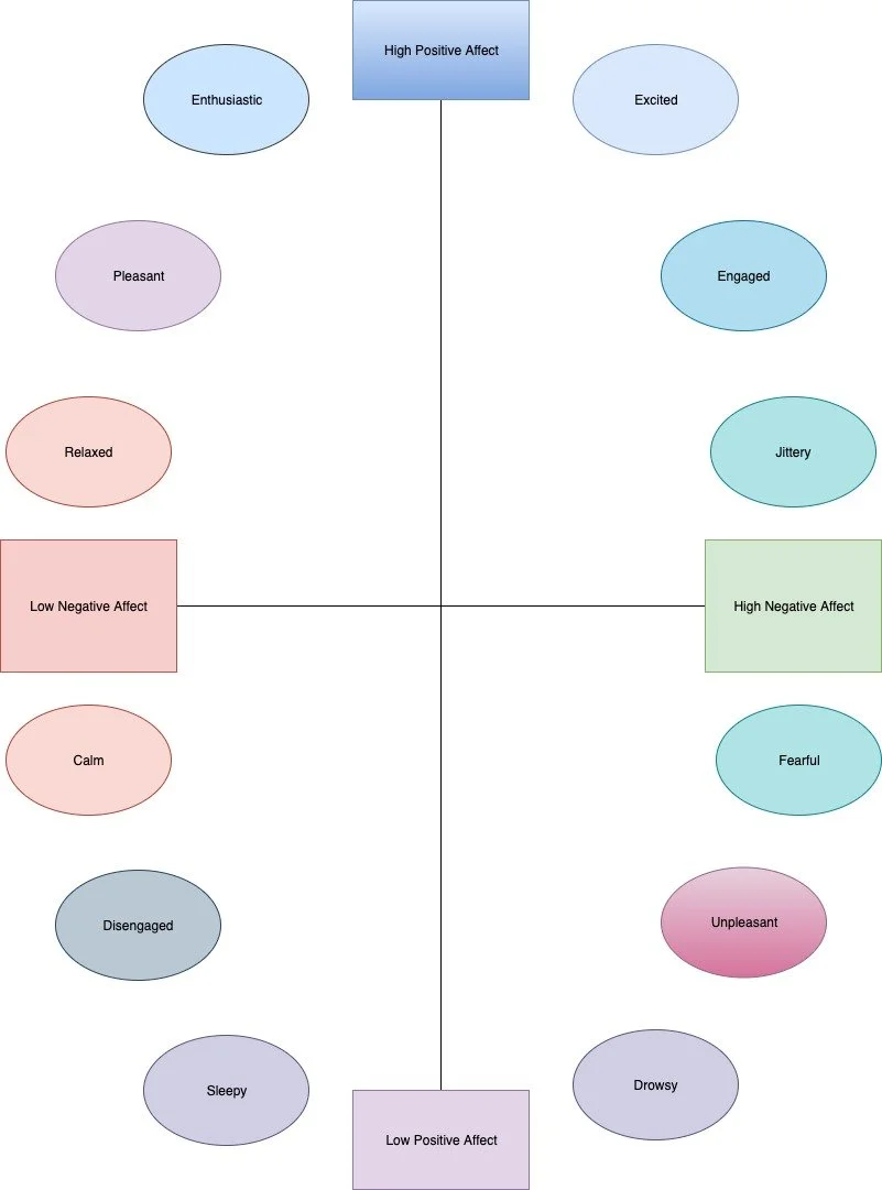 3 Newest Theories on How Emotions Work! — The Healing Center