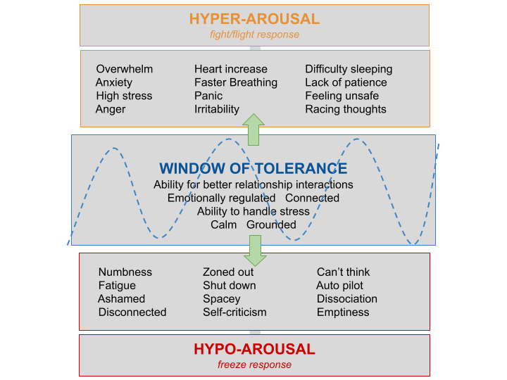 Blog: Window of Tolerance — Transcend Counseling Chicago