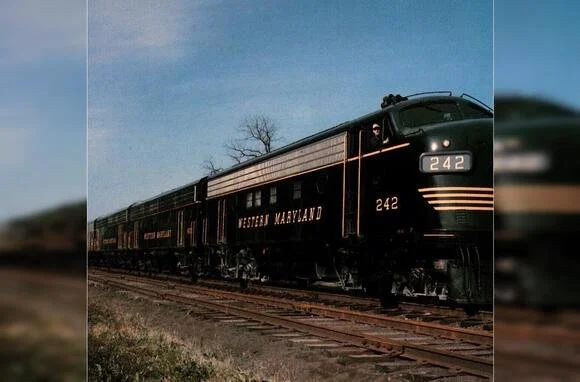 Uncovering the Charm of Boring — Boring Community Association