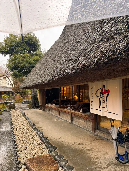 Arashiyama Kyoto Guide: Bamboo Grove, Temples, Cafes & Scenic Walks ...