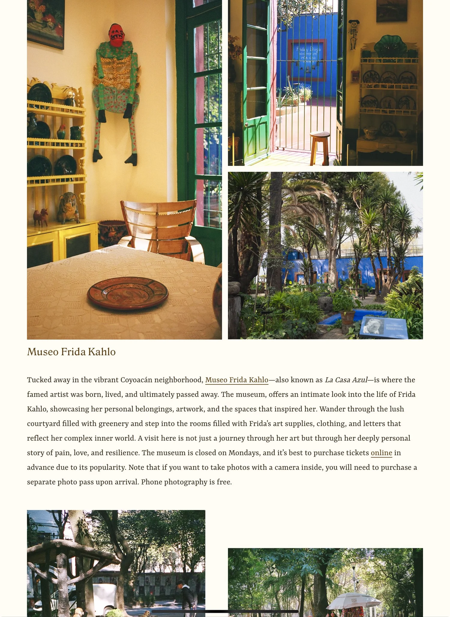 Shop City Guides — Neighborhood Guide