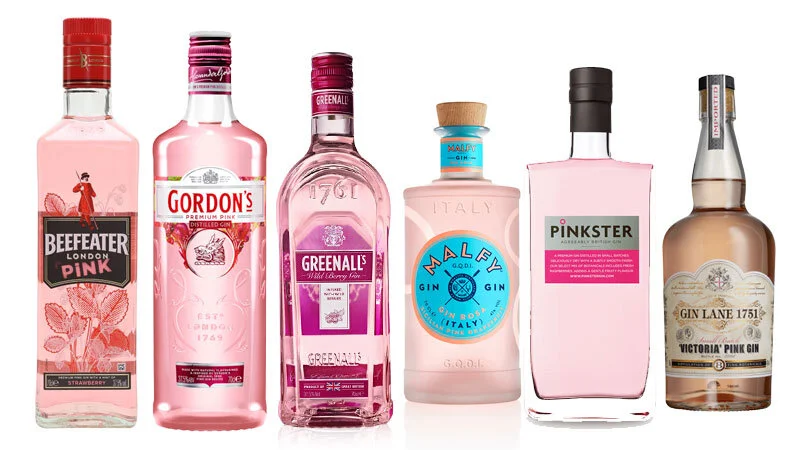 What Is Gin? The Ultimate Guide to The Different Types of Gin — Smartblend