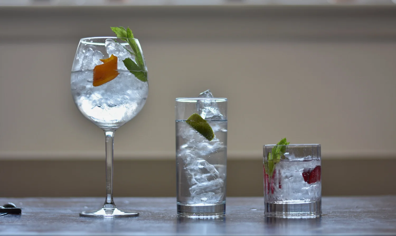 Ultimate Gin And Tonic Guide — Smartblend