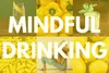 Your Guide To Mindful Drinking With 5 Tips & Tricks — Smartblend