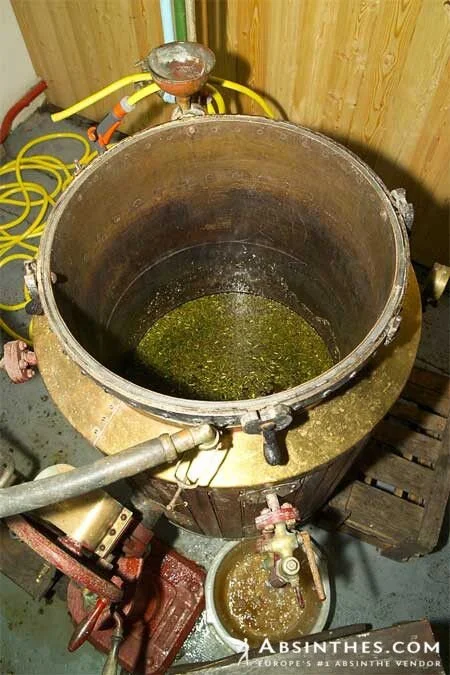 Absinthe Guide Part 1 - Absinthe styles explained and how its made ...