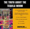 What is a Tequila Worm? Should you eat it? And why is it there ...
