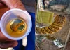 What is a Tequila Worm? Should you eat it? And why is it there ...