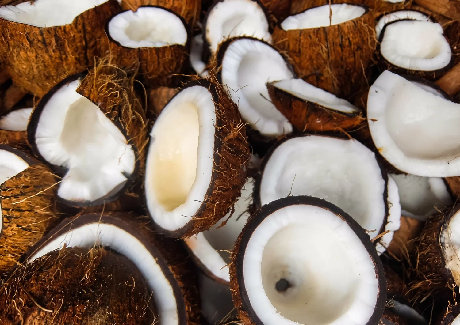 Coconut Mojito Recipe — Smartblend