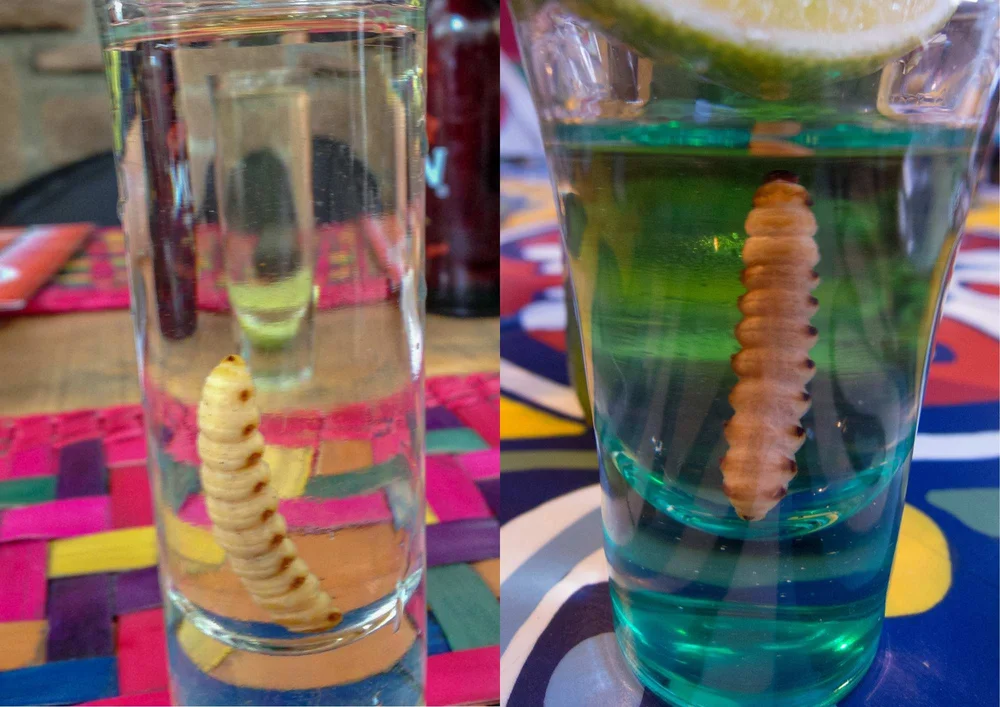 What is a Tequila Worm? Should you eat it? And why is it there ...