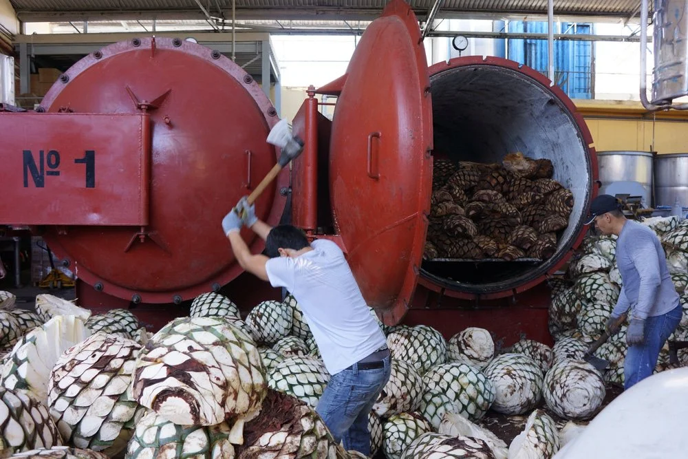 What Is Tequila? — Smartblend
