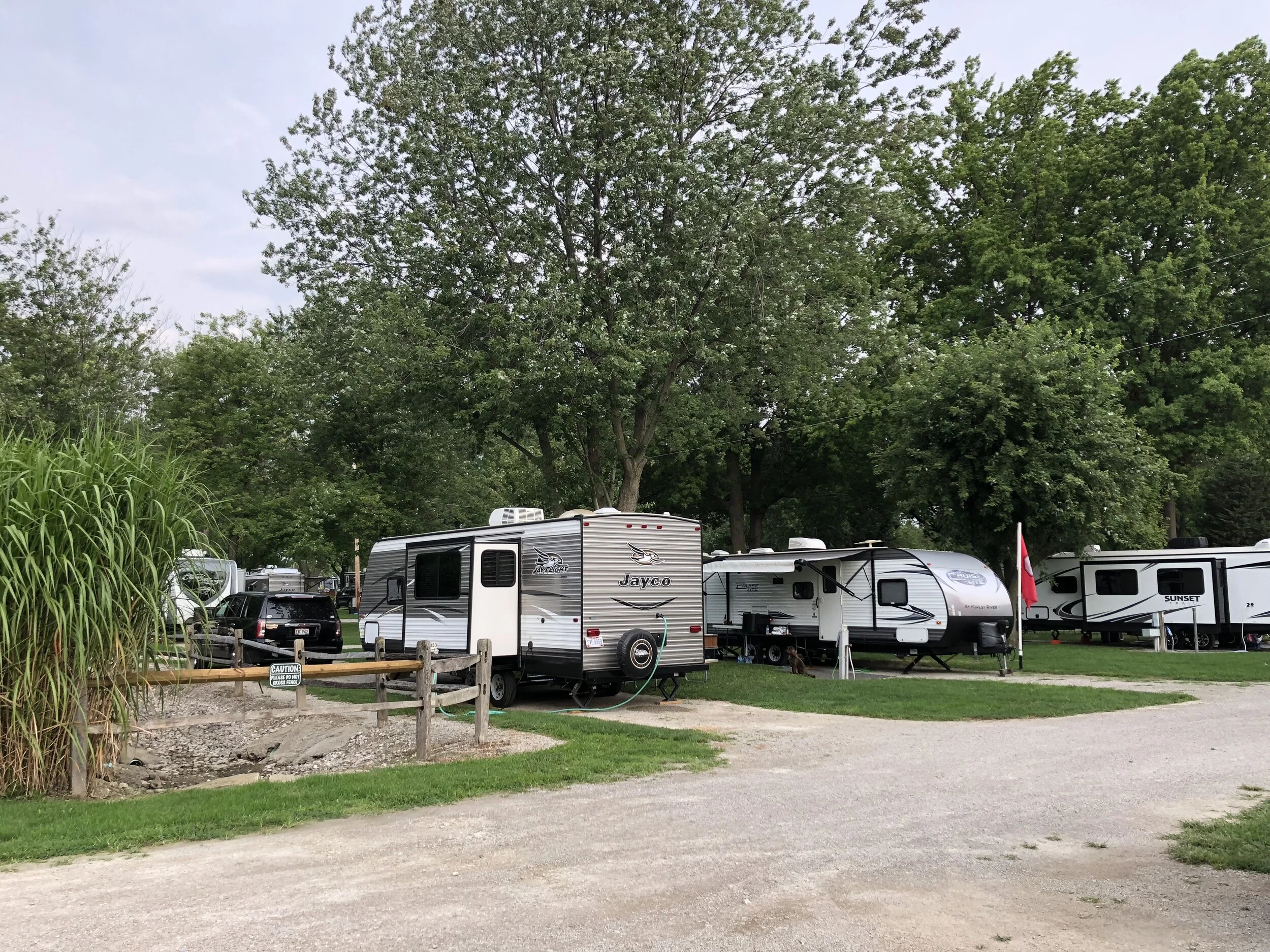 Transient Camping — Cedarlane RV Resort