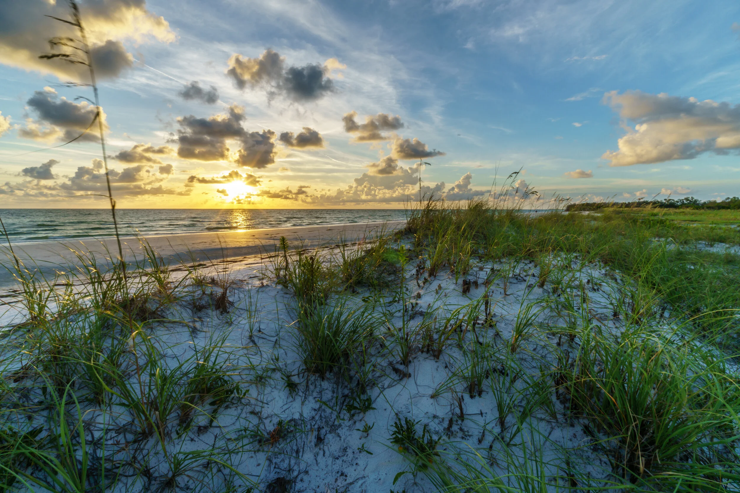 Alliance of Florida Land Trusts