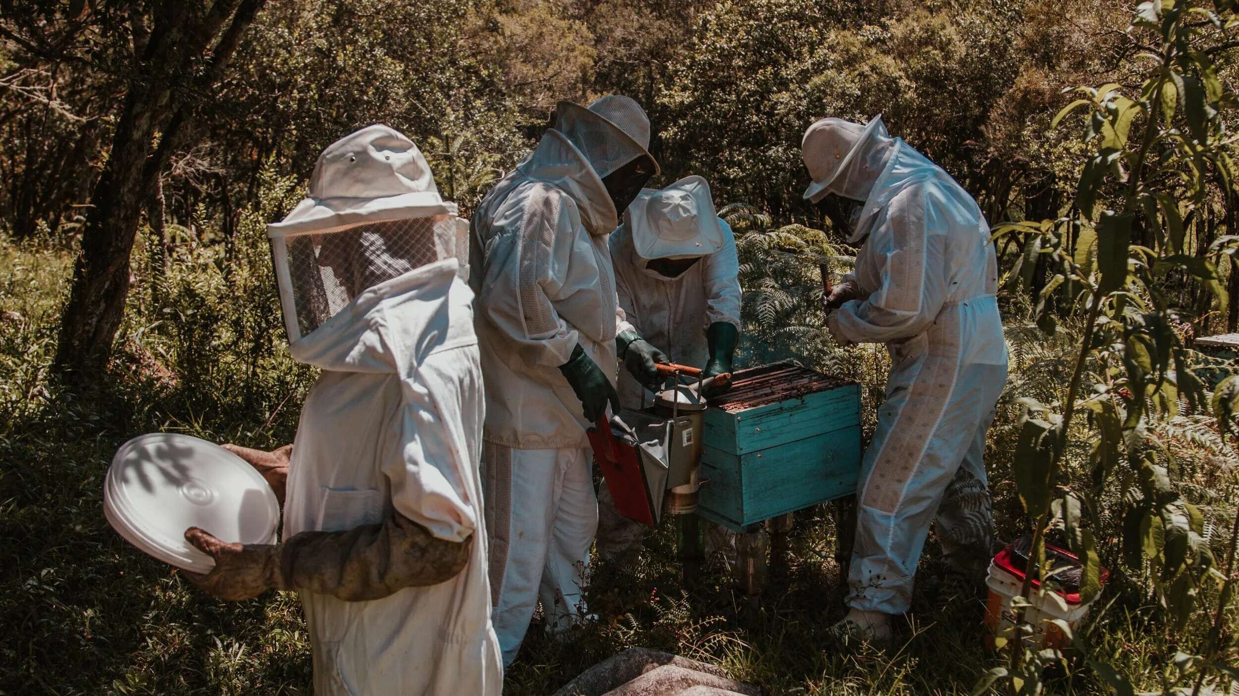 General 2 — Holland Area Beekeepers Association