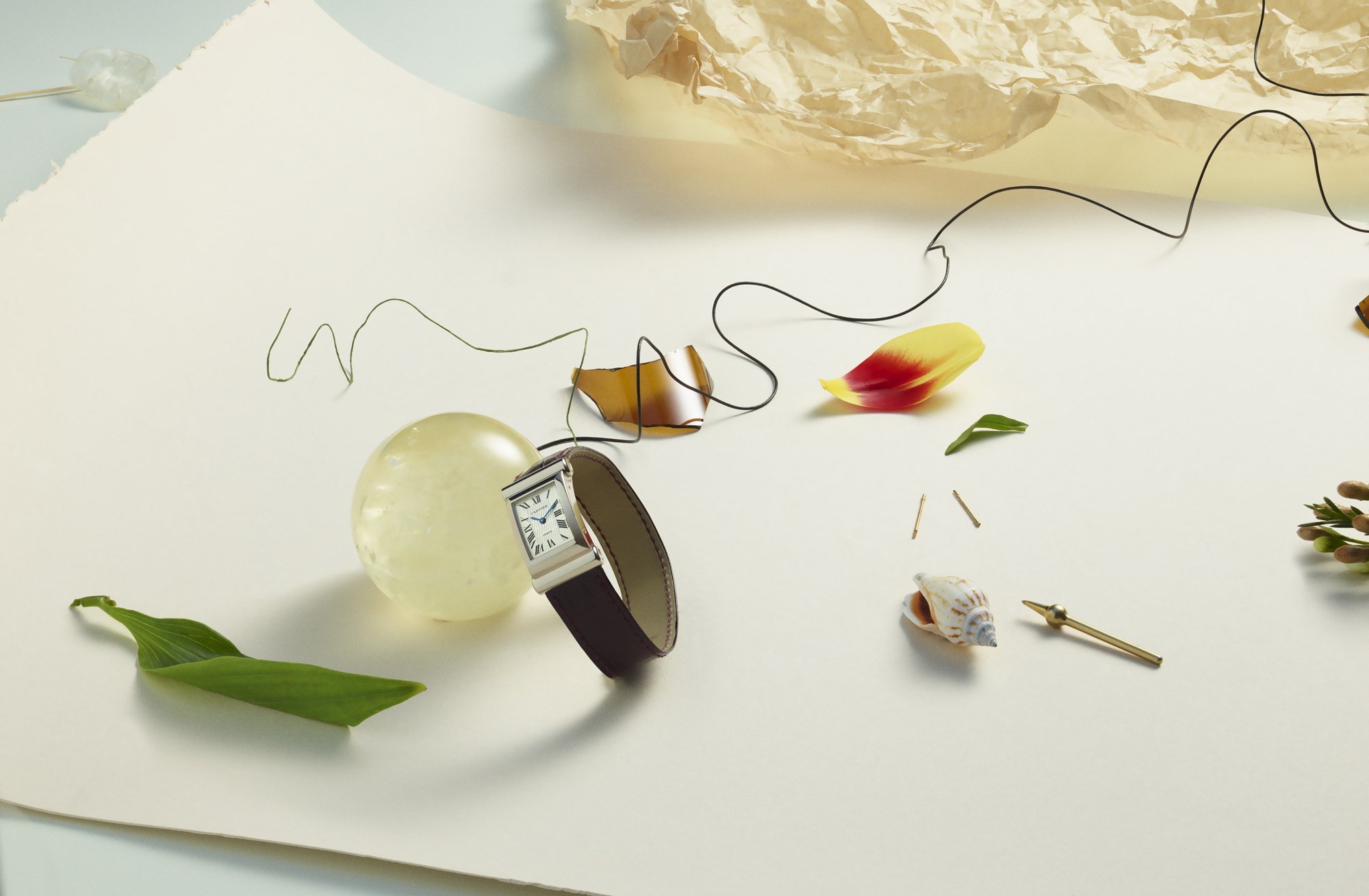 Jewelry — Wib Agency