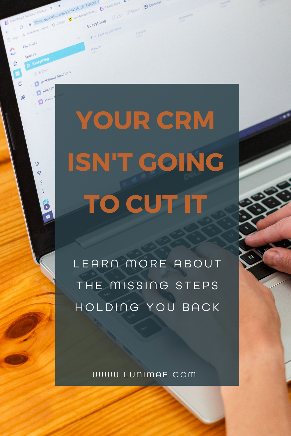 Resources — OBM for Website Designers