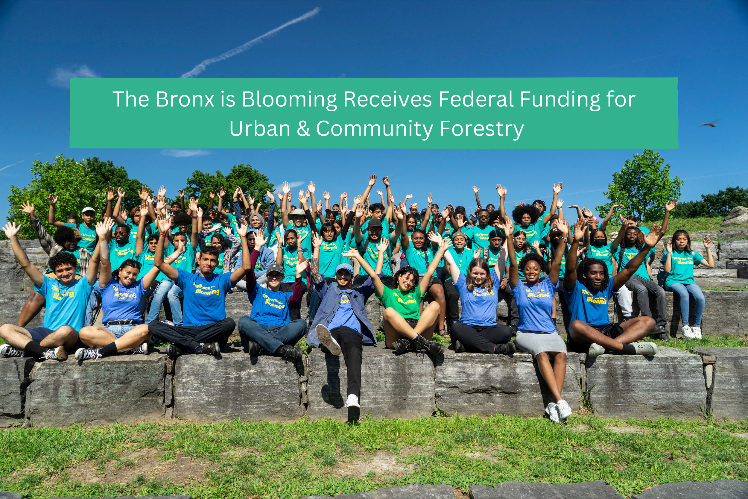 The Bronx is Blooming
